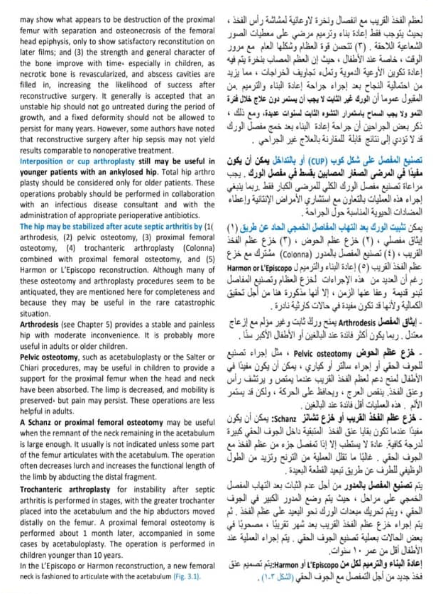 SDL XLIFF Converter - Export Bilingual Word - Paragraph - 2. RWS ...