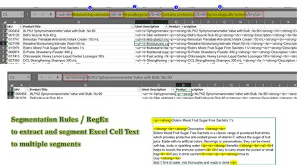 RegEx for segmentation within Excel | extract text from html tag - 5. Regex and XPath - Trados ...
